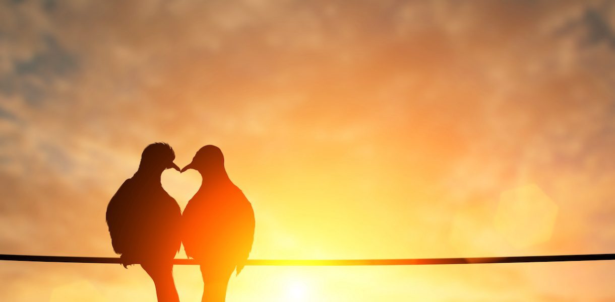 10 Undeniable Signs Of Irresistible Chemistry Between Two People