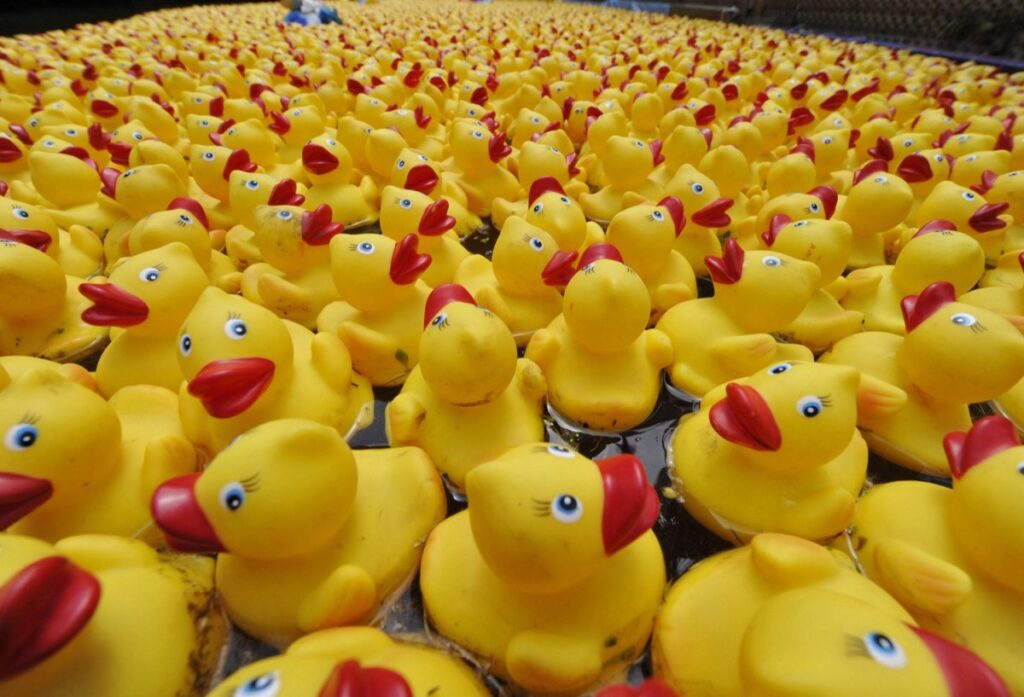 UNITED KINGDOM: A Plastic Duck Was Found Washed Ashore After An 18-Year ...