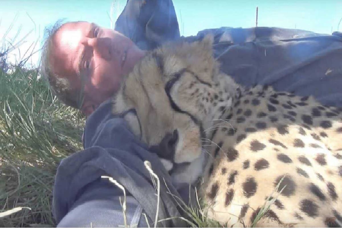 Wildlife Photographer Wakes Up From A Nap Under A Tree With... A ...