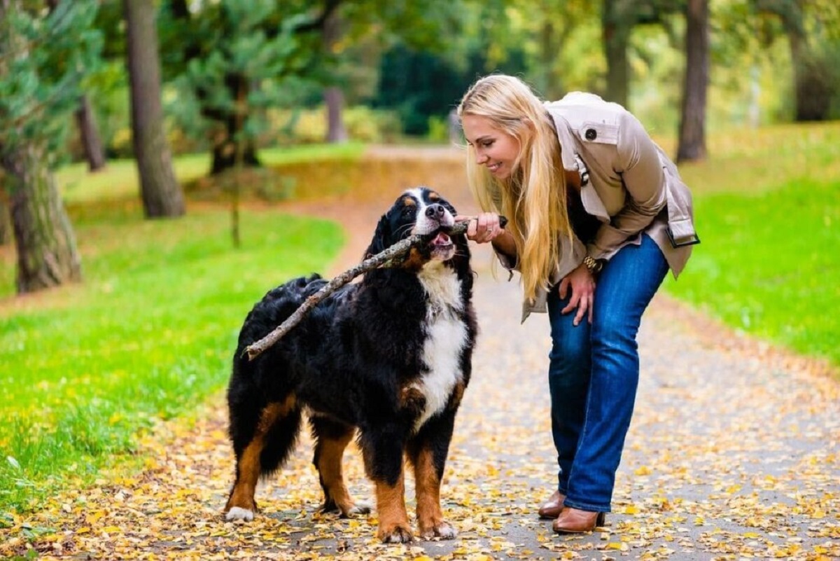 Dog Walking Guide: What’s the Ideal Length for Your Dog’s Walk?