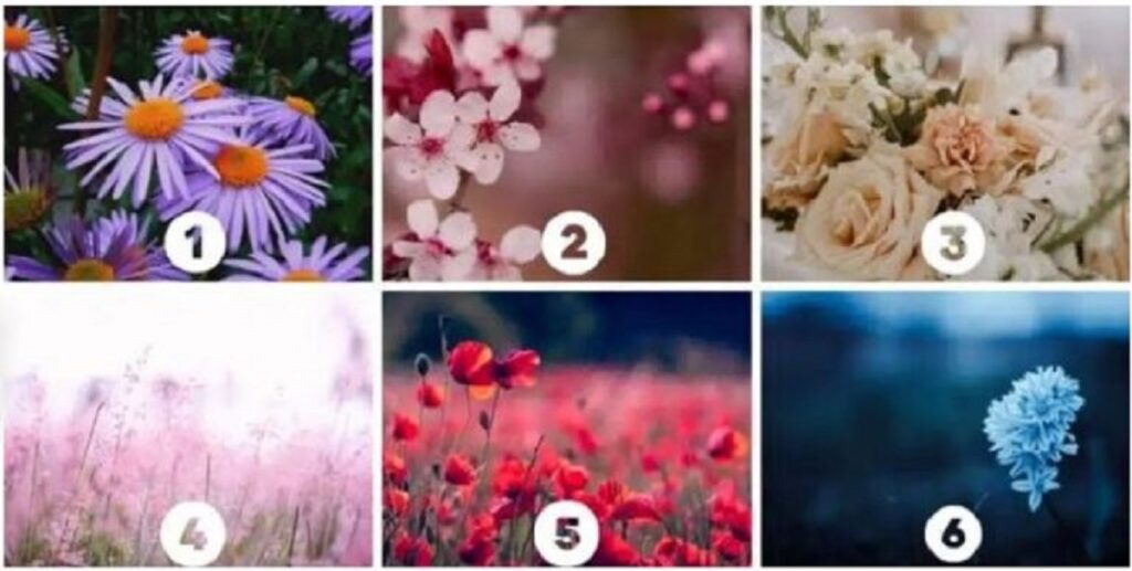 What Your Favorite Flower Says About Your Personality