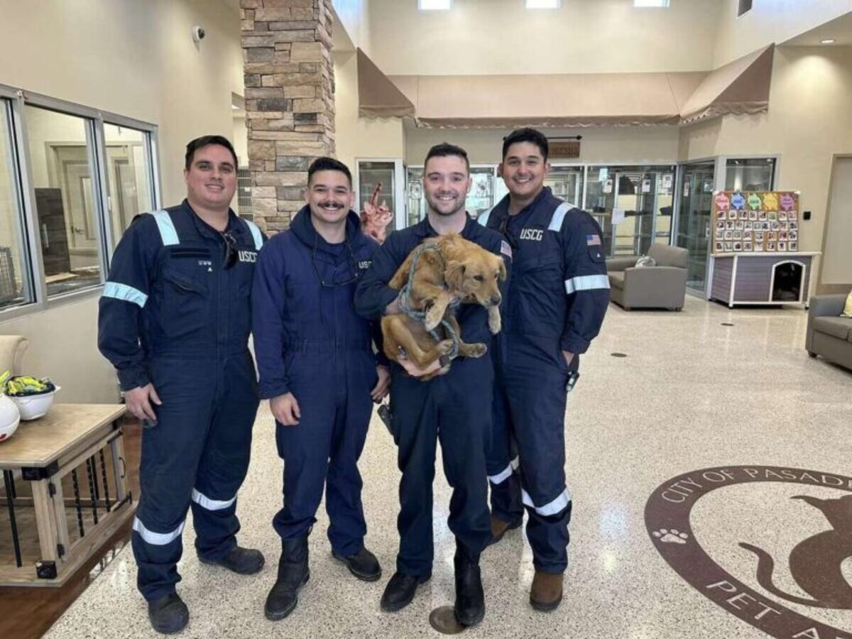 Dog rescued from a shipping container had a heartwarming surprise in store