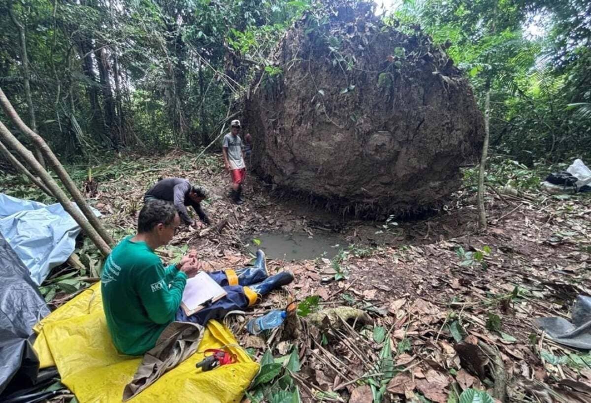 Archaeologists stunned by mysterious funerary urns found in the Amazon