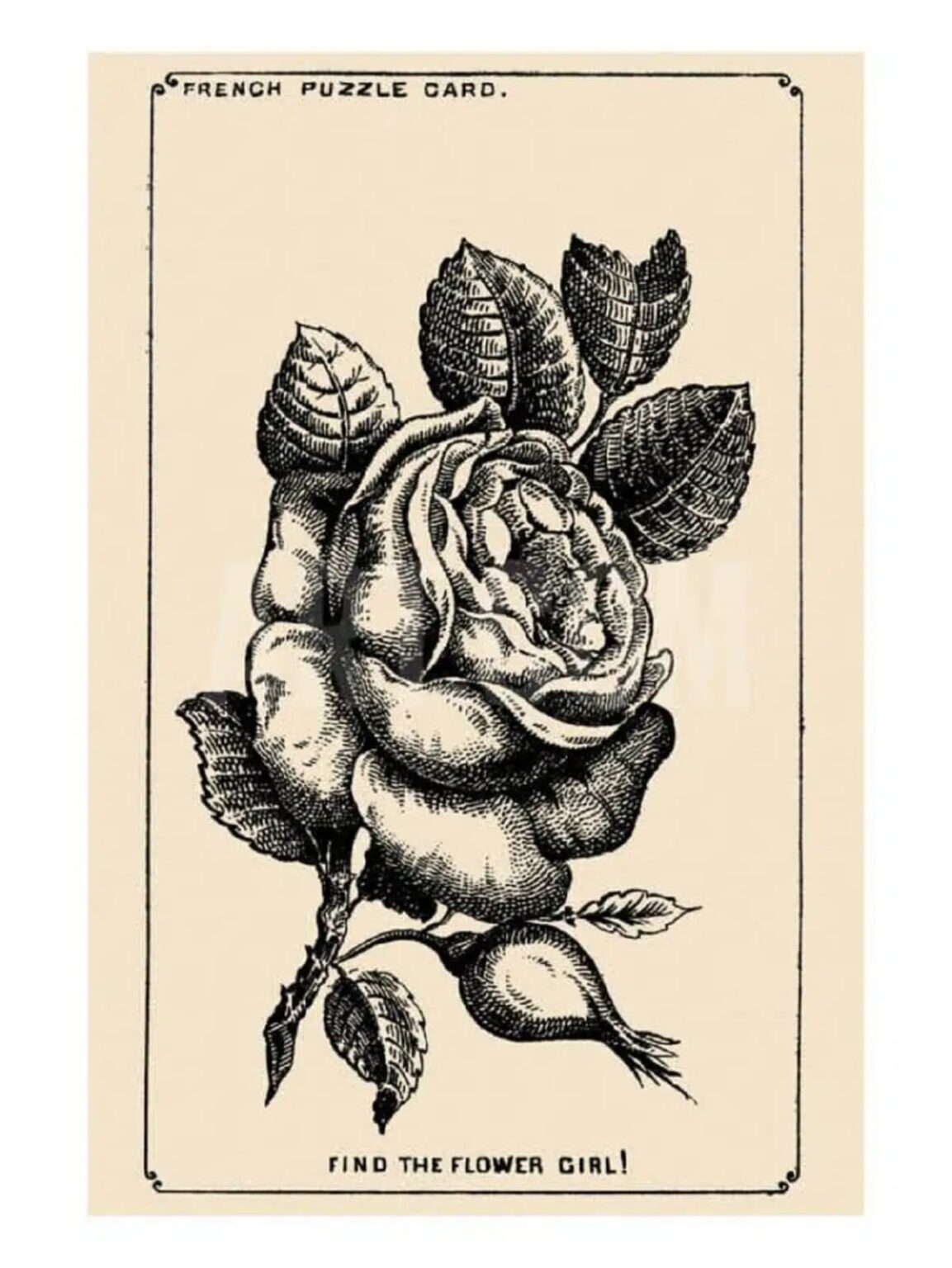 Can you spot the girl’s hidden face in this 1880s rose illusion?