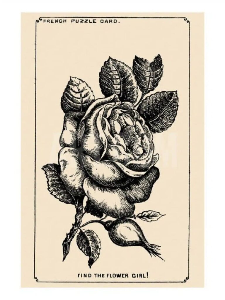 Can you spot the girl’s hidden face in this 1880s rose illusion?